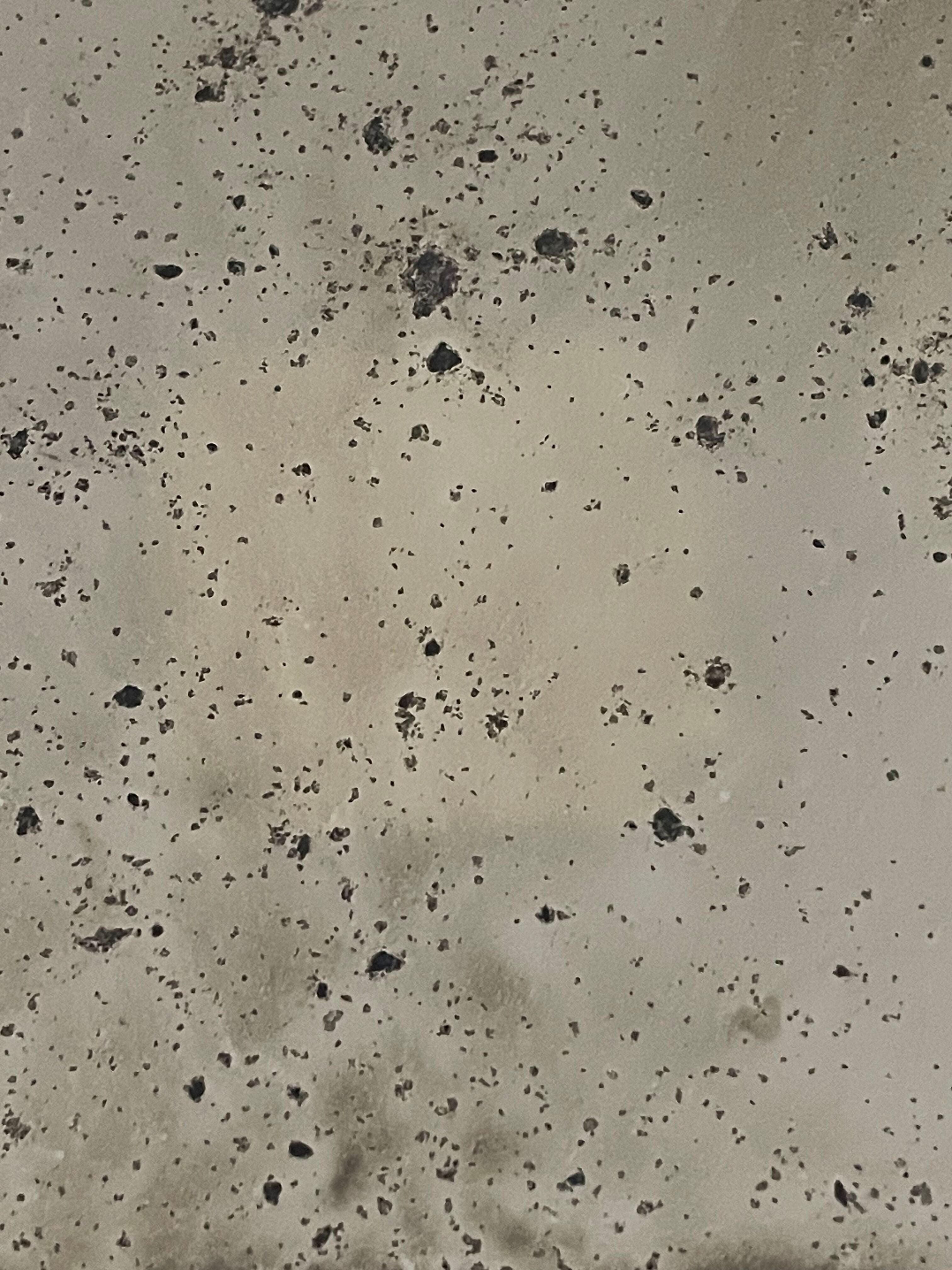 Antiqued Mirror Finish Samples | Rough Old Glass